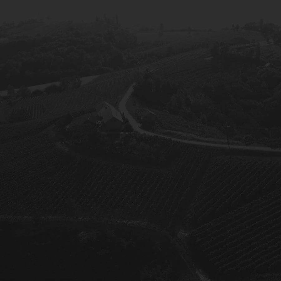 Home Page - Xactly Design & Advertising