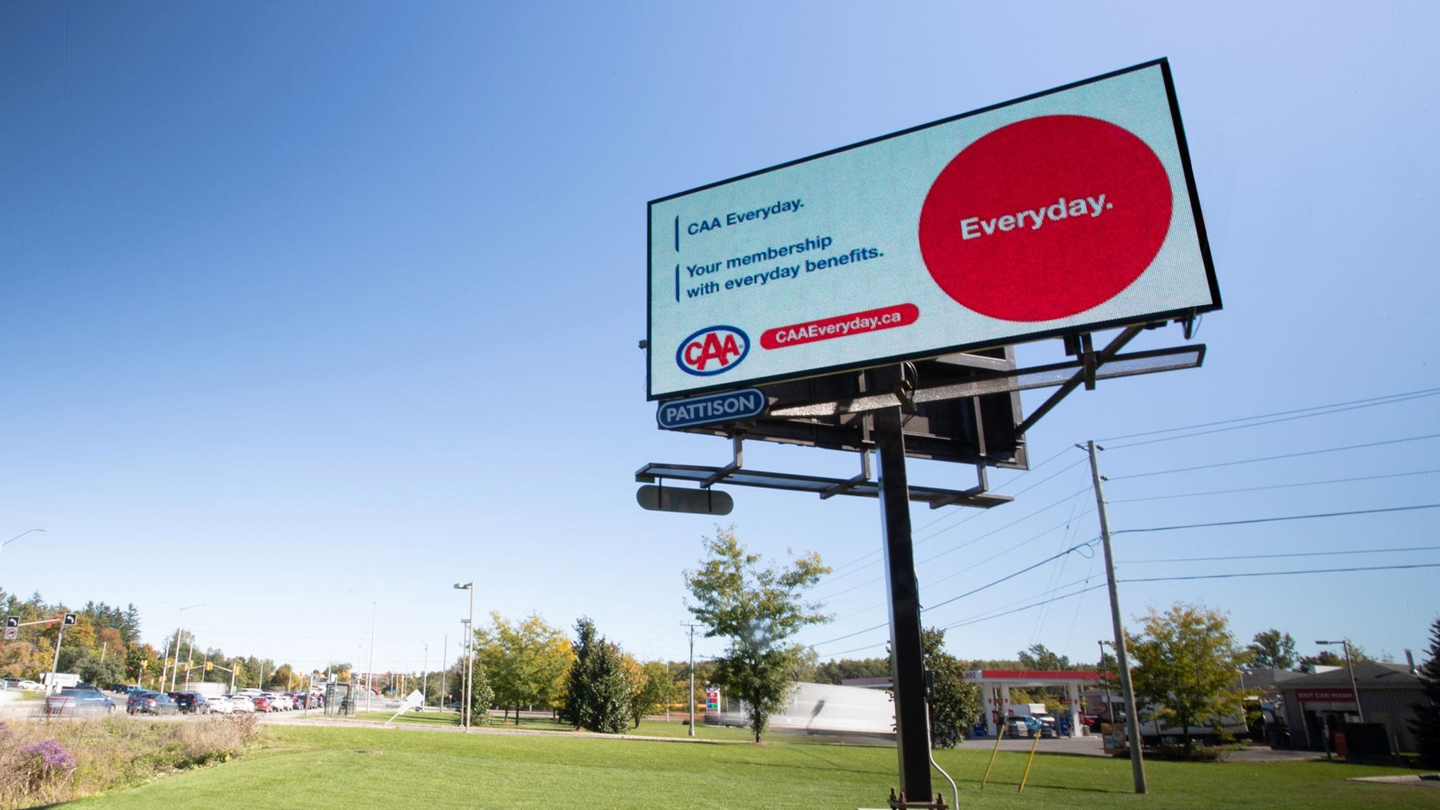 CAA's Membership Program - Xactly Design & Advertising