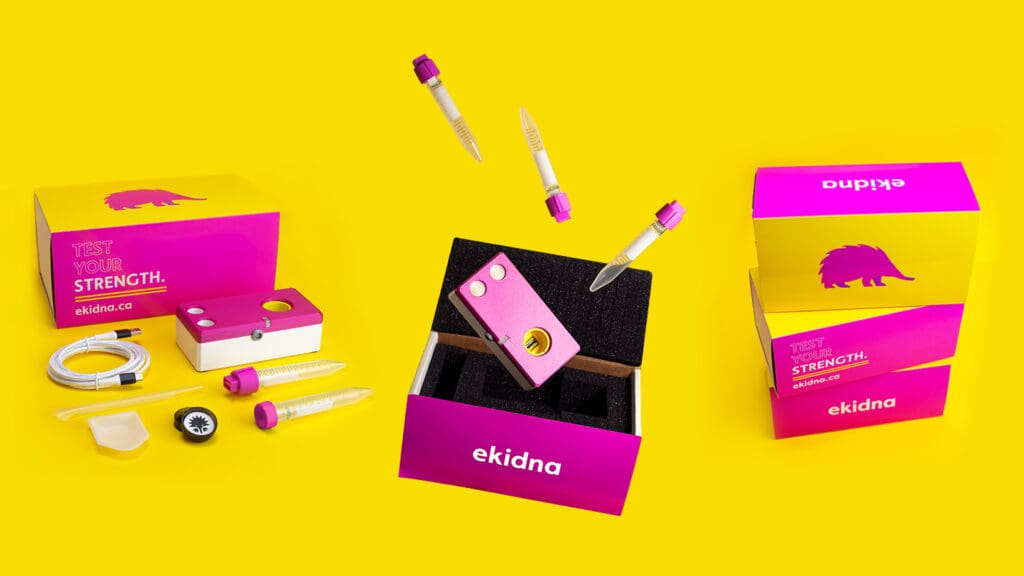 Ekidna - Xactly Design & Advertising